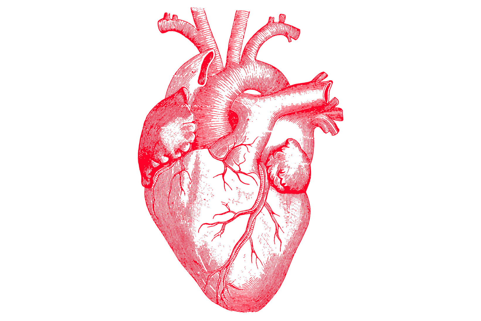 Historien om: Hjertet - Norsk Luftambulanse